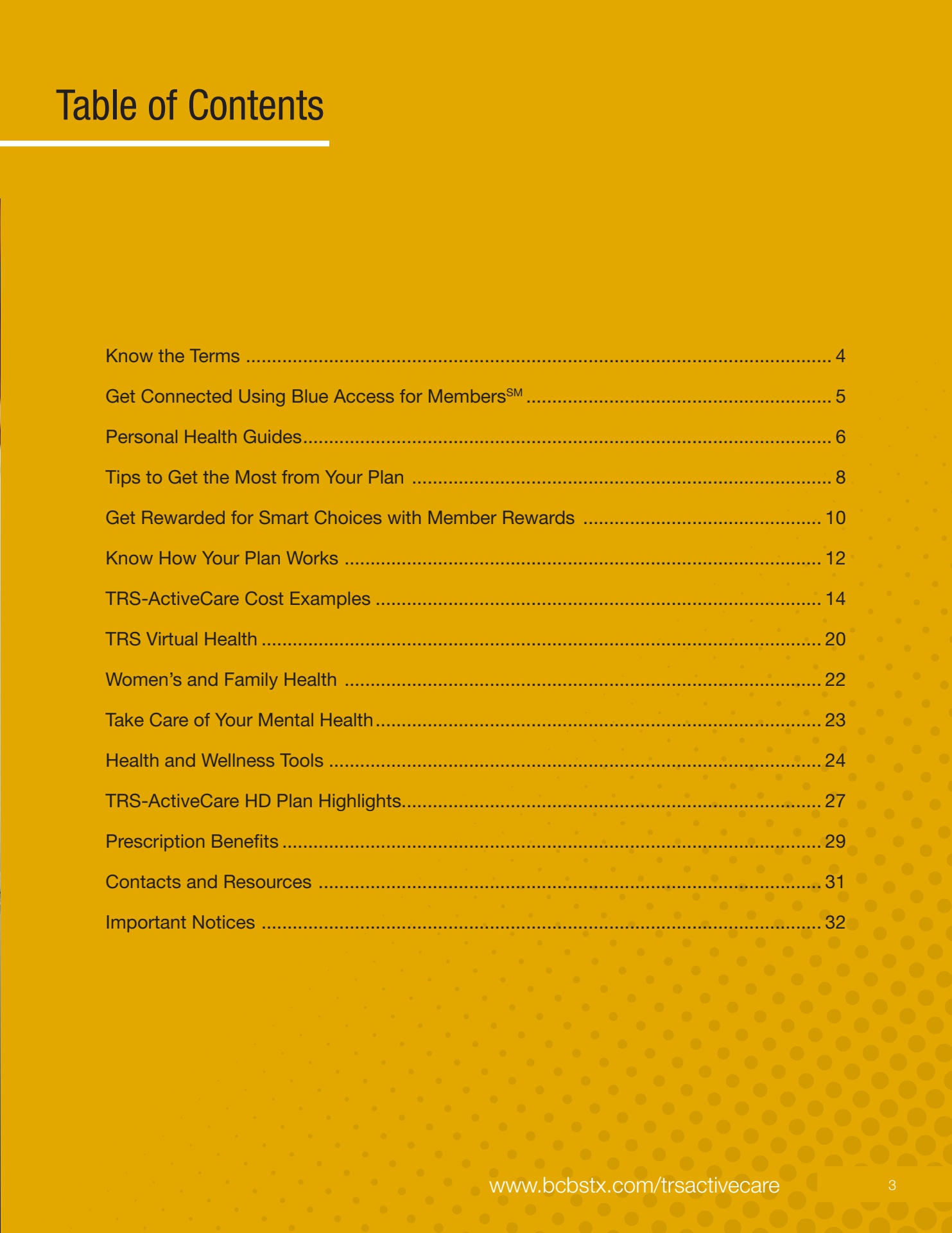 2024-25 TRS-ActiveCare HD Plan Resource Guide